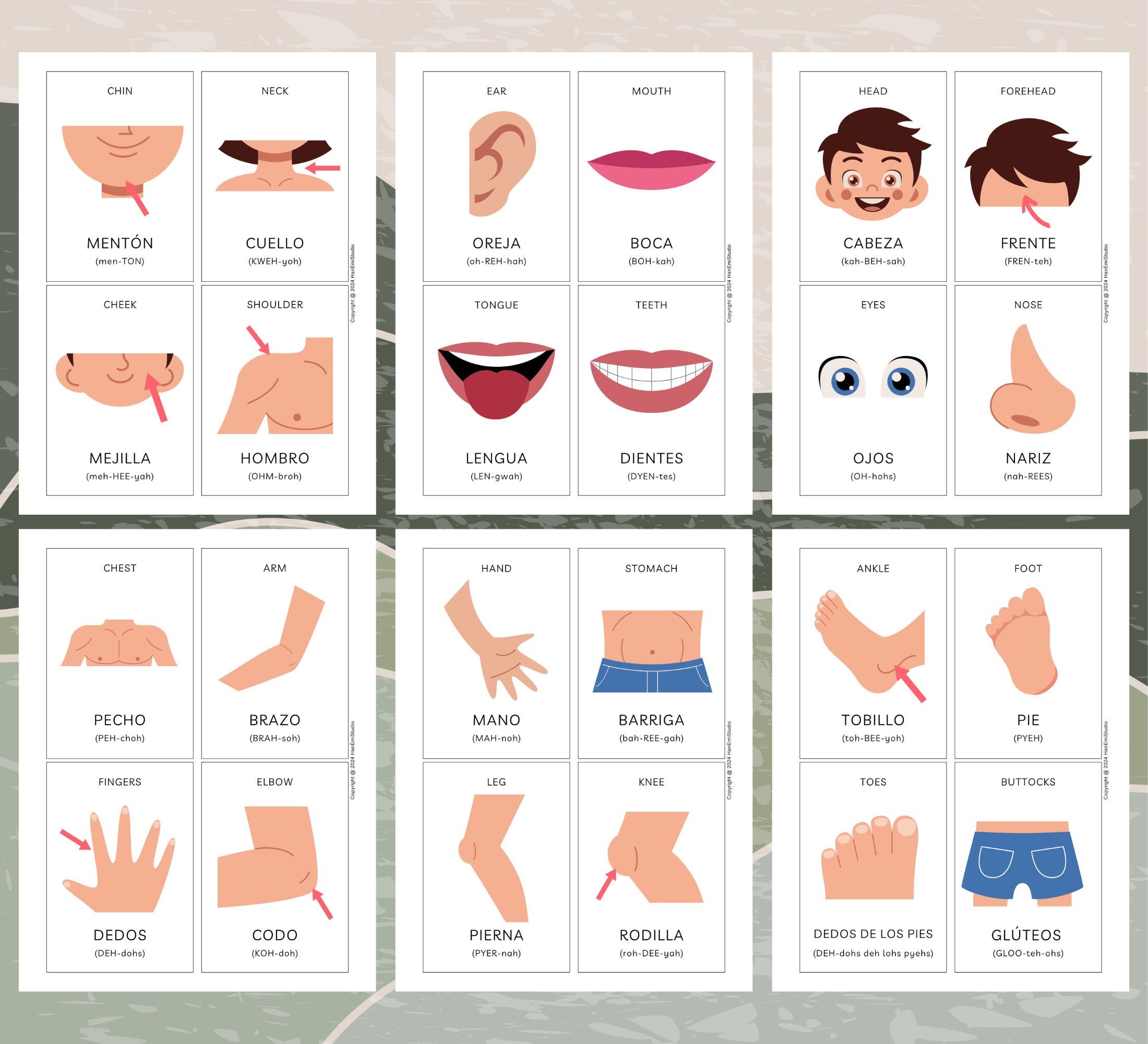 24 SPANISH Body Parts Flashcards; Bilingual Learning Cards for Kids ...