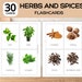 30 Herbs and Spices Flashcards; Vocabulary Flashcards; Plants ...