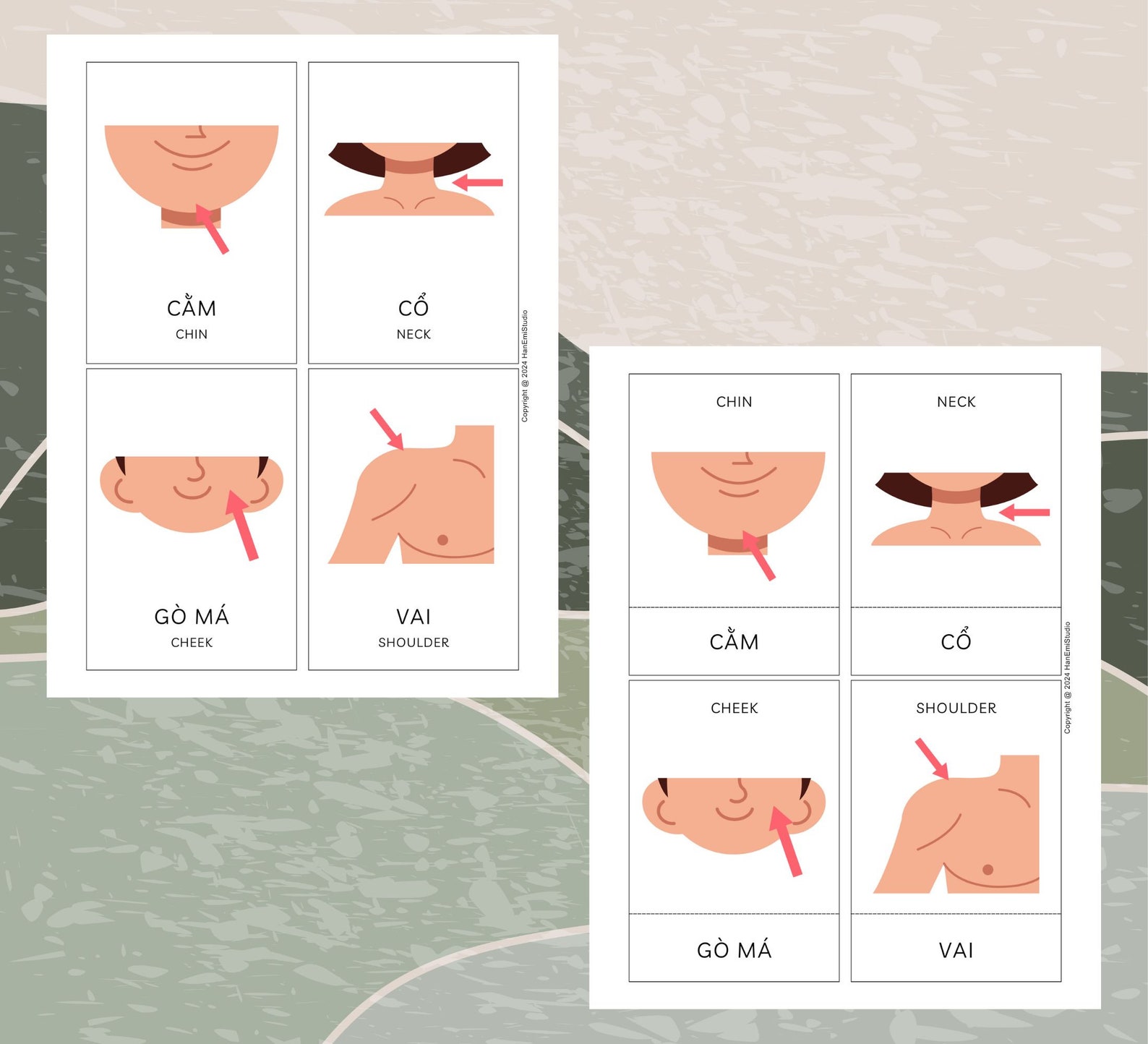 24 VIETNAMESE Body Parts Flashcards; Bilingual Learning Cards for Kids ...