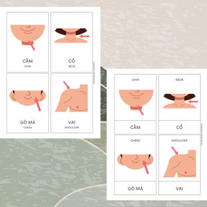24 VIETNAMESE Body Parts Flashcards; Bilingual Learning Cards for Kids ...