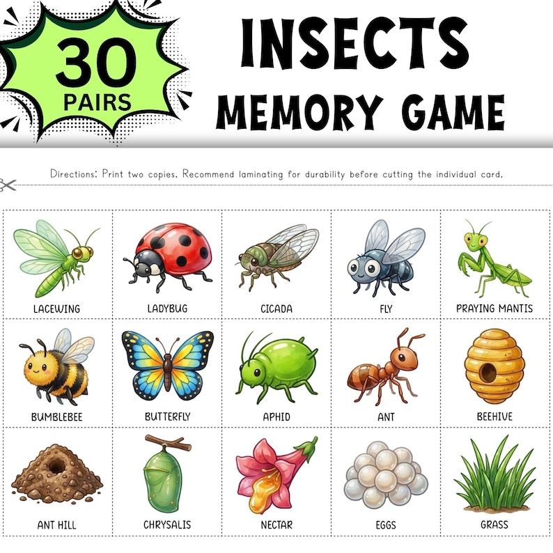 Insects Memory Game Printable; Bug Matching Cards for Kids; Spring ...