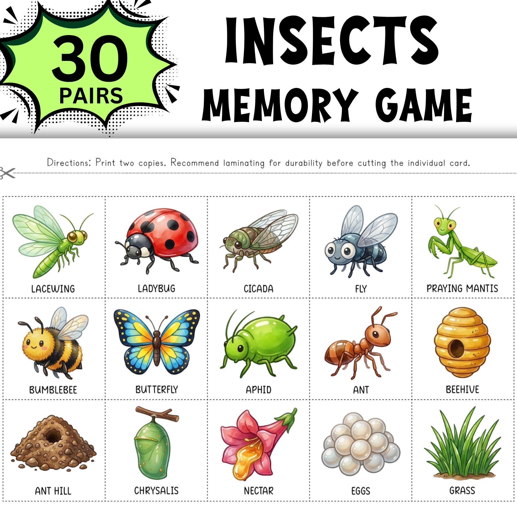 Insects Memory Game Printable; Bug Matching Cards for Kids; Spring ...