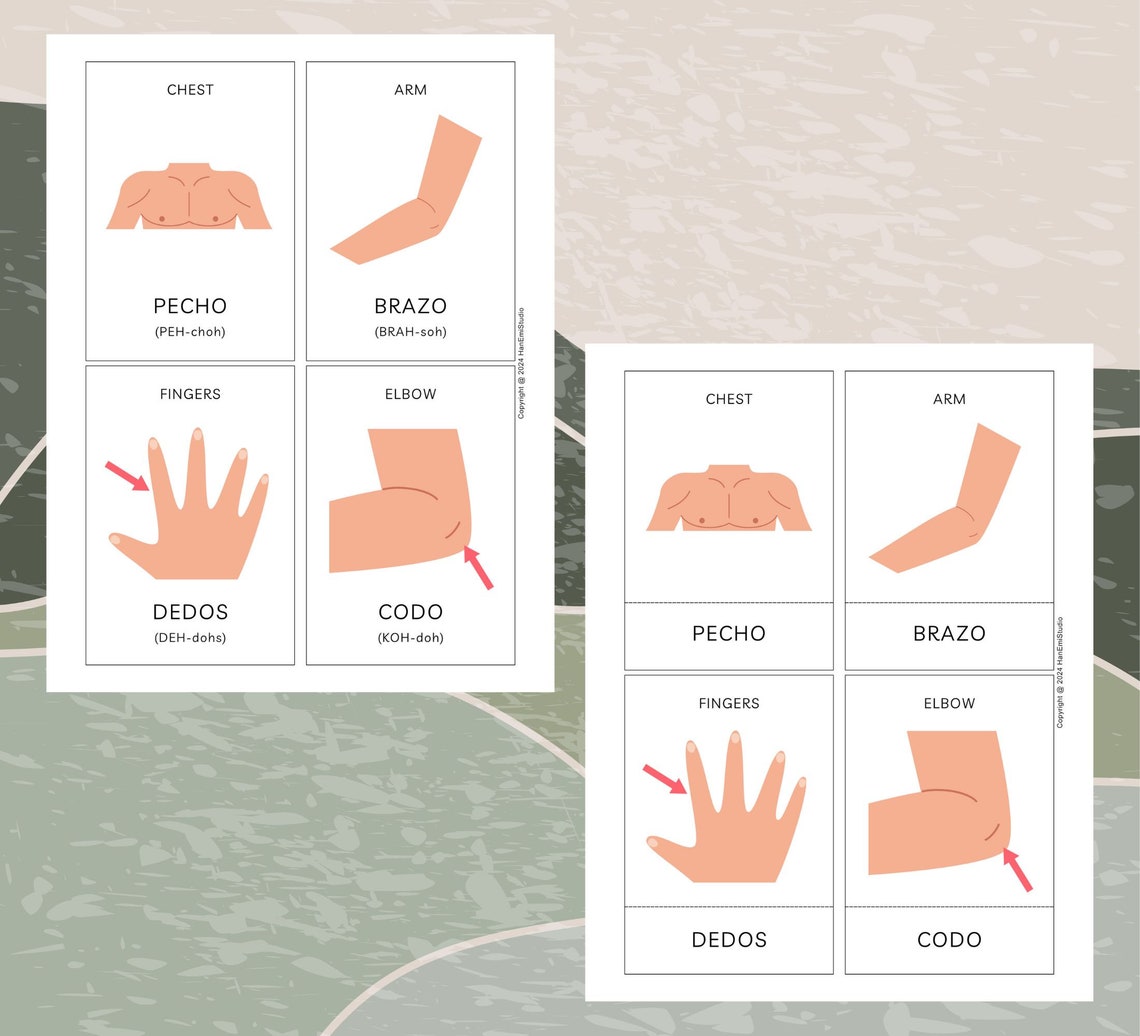 24 SPANISH Body Parts Flashcards; Bilingual Learning Cards for Kids ...