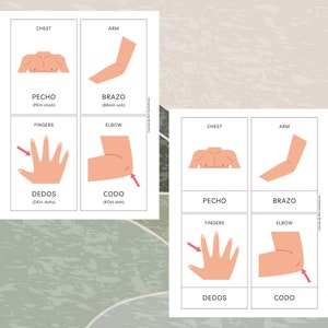 24 SPANISH Body Parts Flashcards; Bilingual Learning Cards for Kids ...