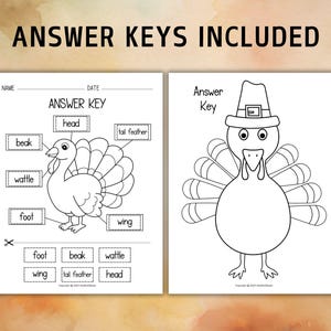 Build a Turkey; Parts of a Turkey Labeling; Cut and Glue a Turkey; Cut ...