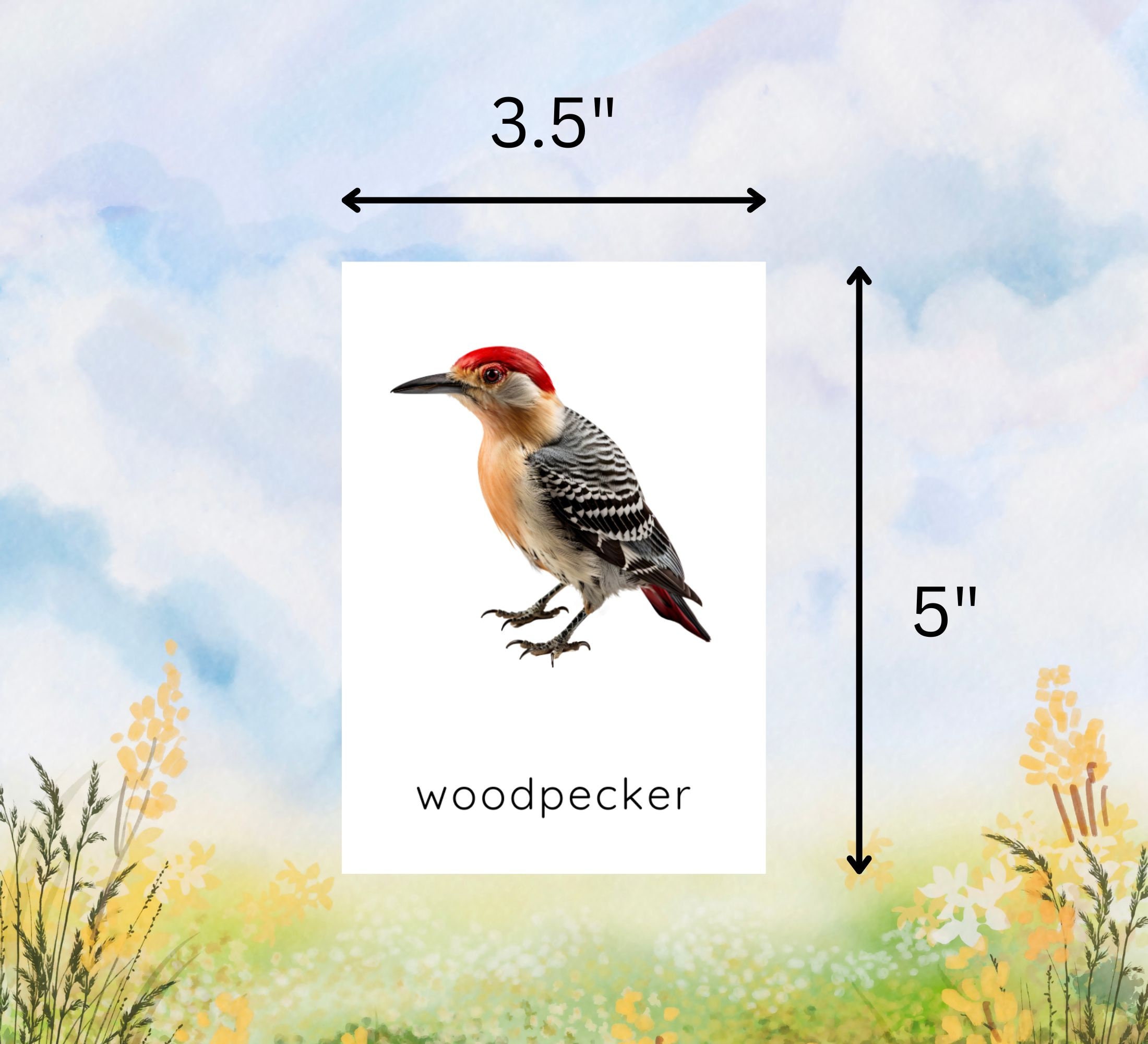 80 Realistic Animal Flashcards; Kids Learning Flash Cards; Animal ...