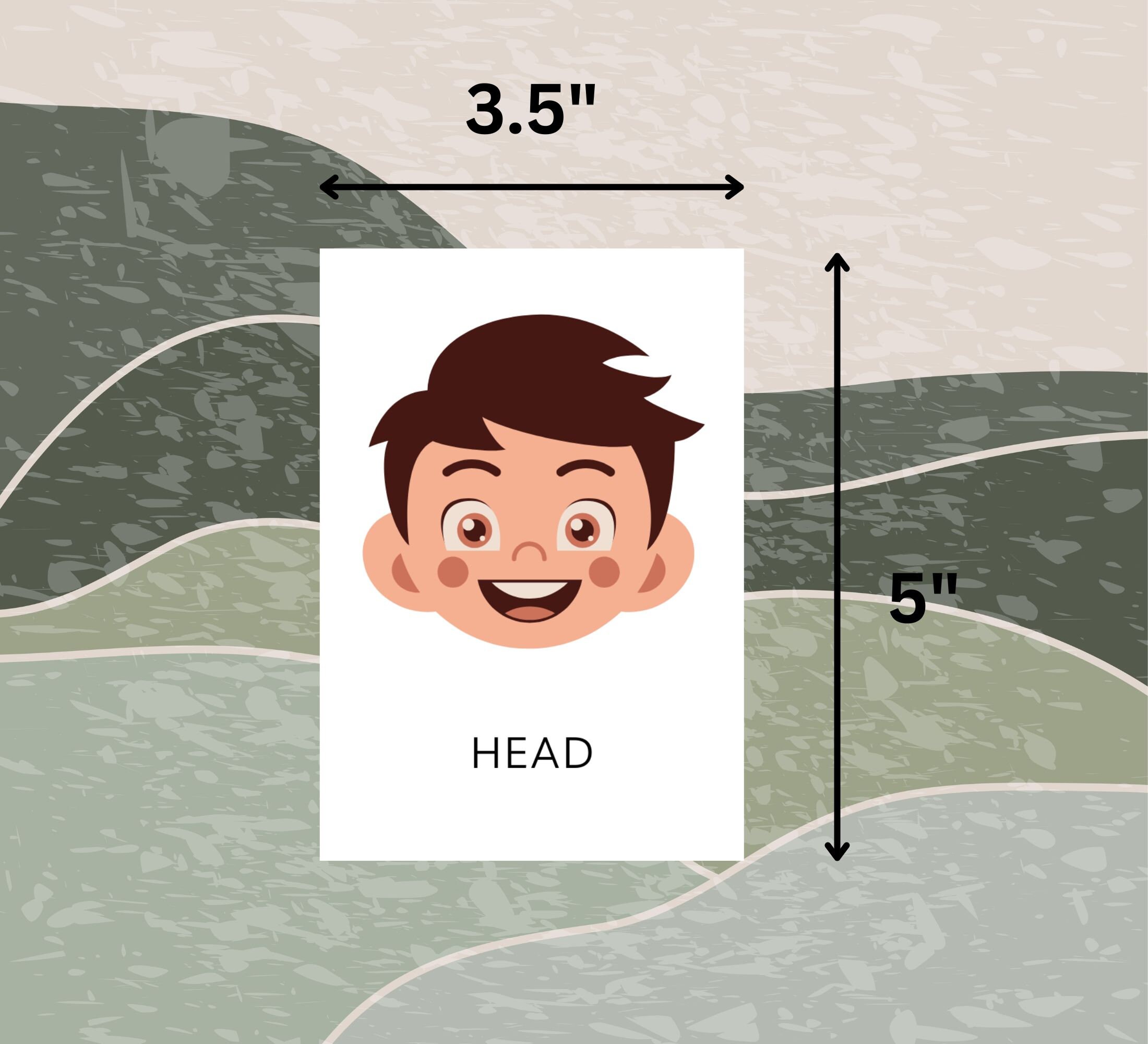 EDITABLE 24 Body Part Flashcards via Canva; Vocabulary Flashcards for ...