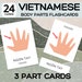 24 VIETNAMESE Body Parts Flashcards; Bilingual Learning Cards for Kids ...
