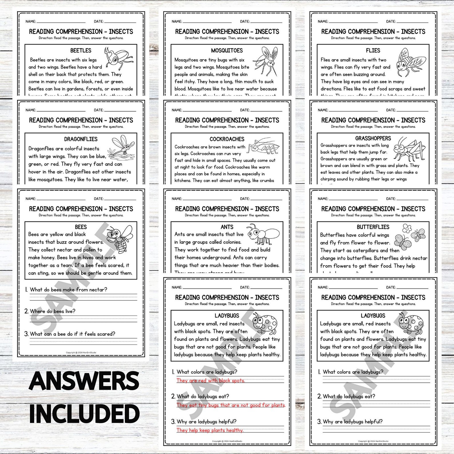 10 Insects Reading Comprehension Worksheets; 1st Grade Reading ...