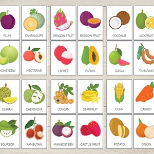 88 Fruits and Vegetables Vocabulary Flashcards; Printable Kids Flash ...