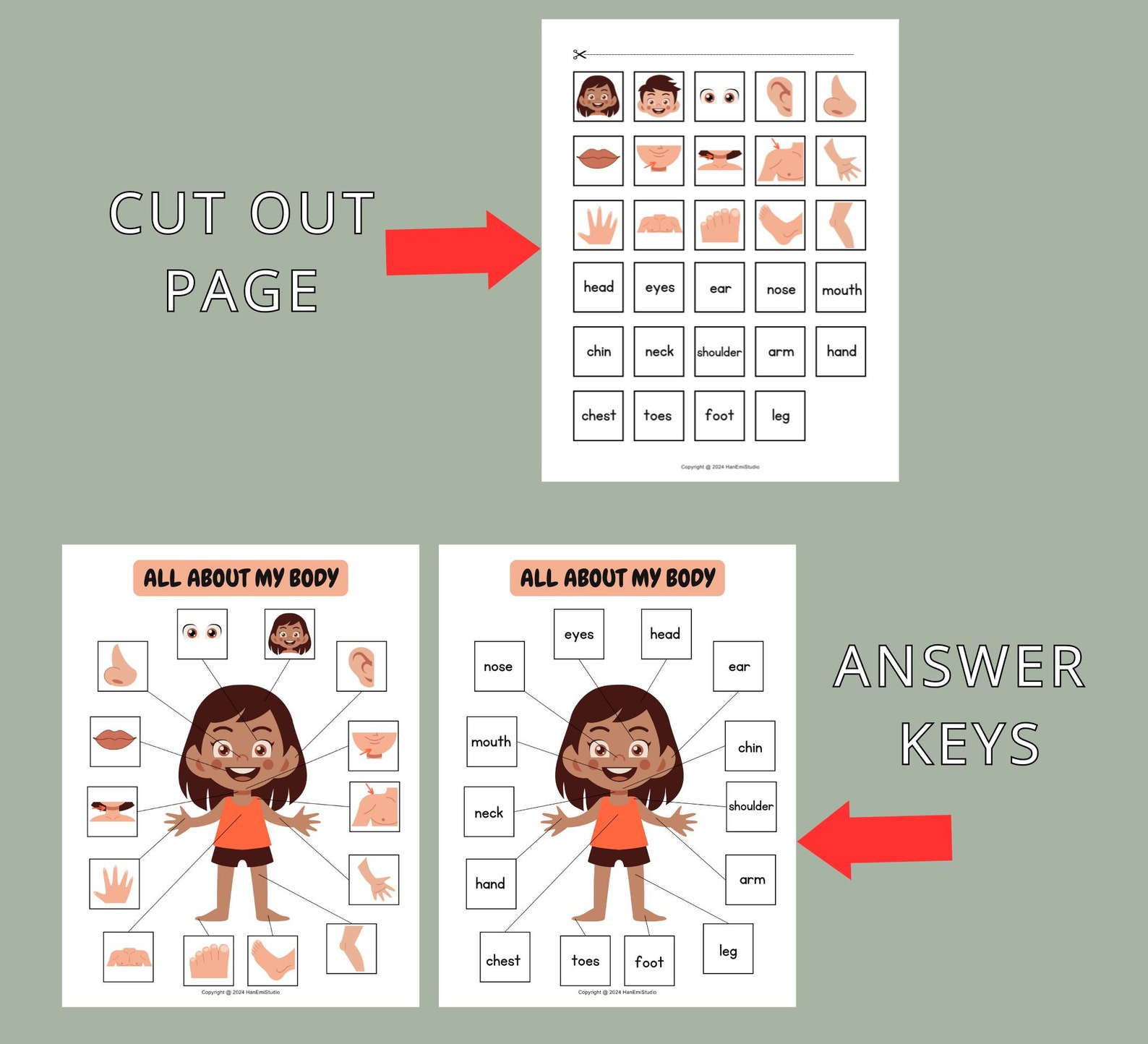 EDITABLE Body Part Matching Activity via Canva; Body Part Worksheet; I ...
