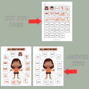 EDITABLE Body Part Matching Activity via Canva; Body Part Worksheet; I ...