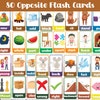 20 Greek Gods and Goddesses Flashcards; Printable Flashcards ...