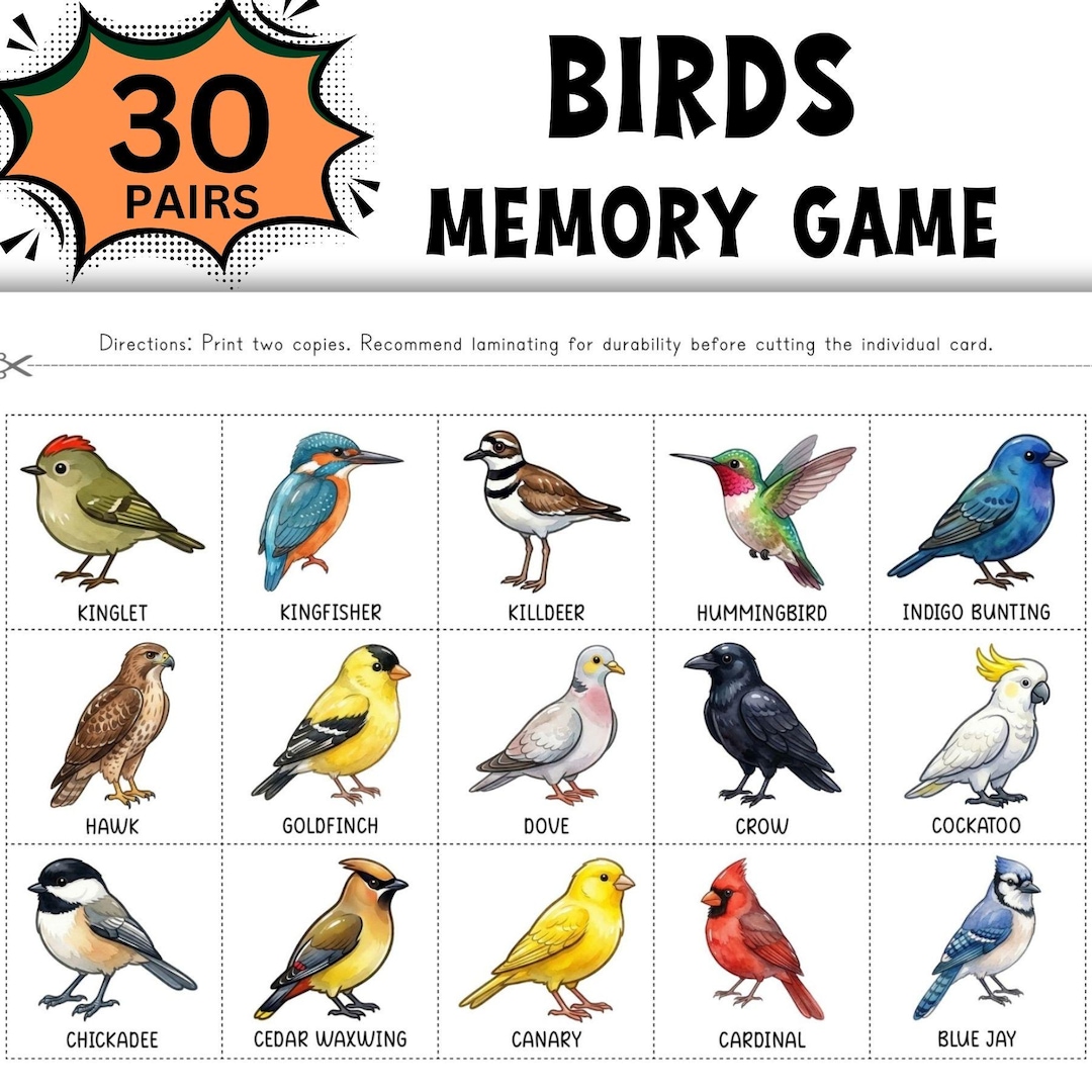 Birds Memory Game Printable; Bird Matching Cards; Nature Educational ...