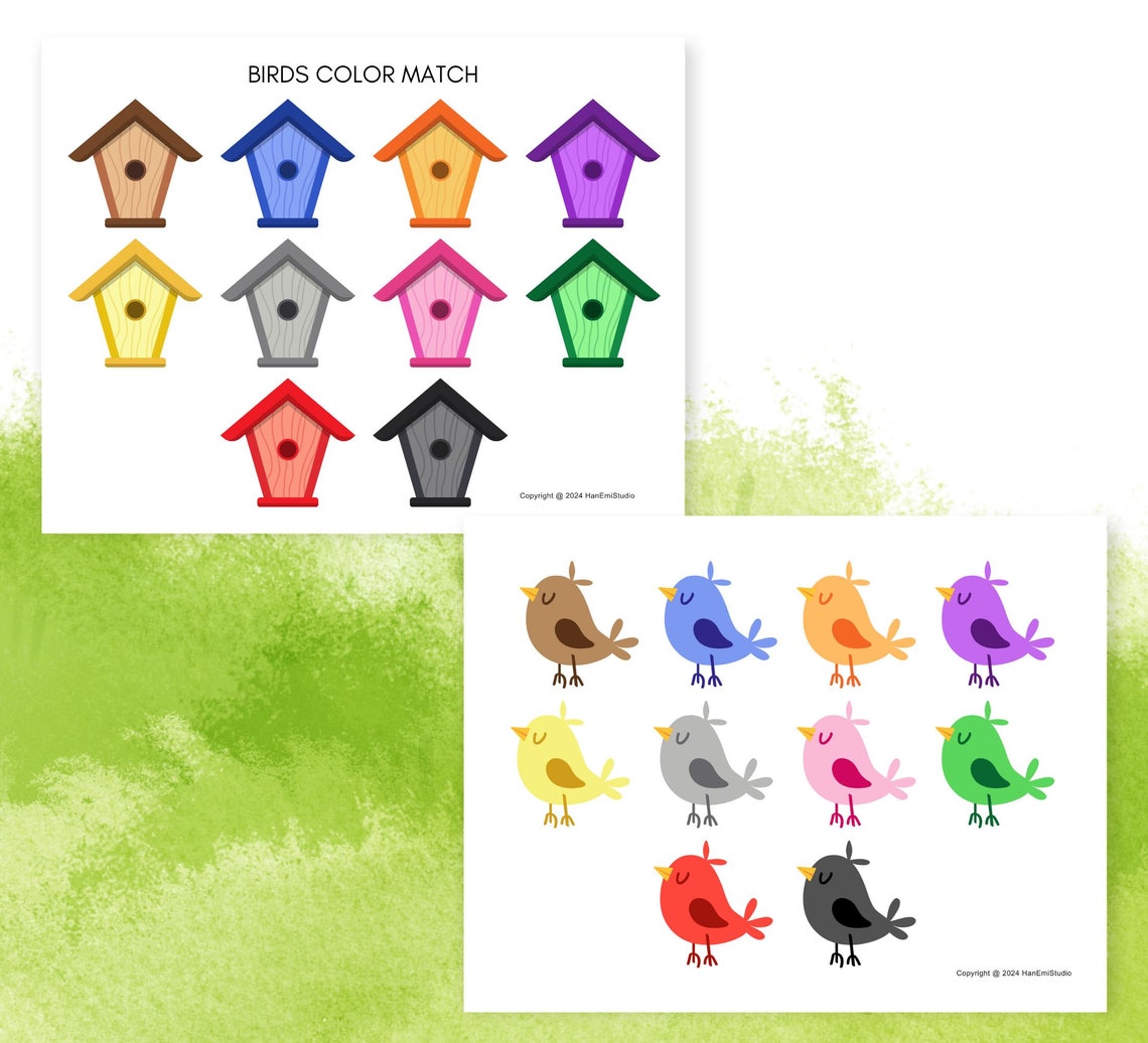 Bird Color Matching Activity for Kids; Color Match; Prek Learning ...