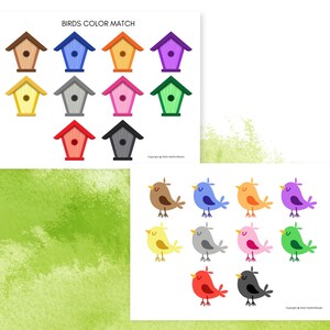 Bird Color Matching Activity for Kids; Color Match; Prek Learning ...