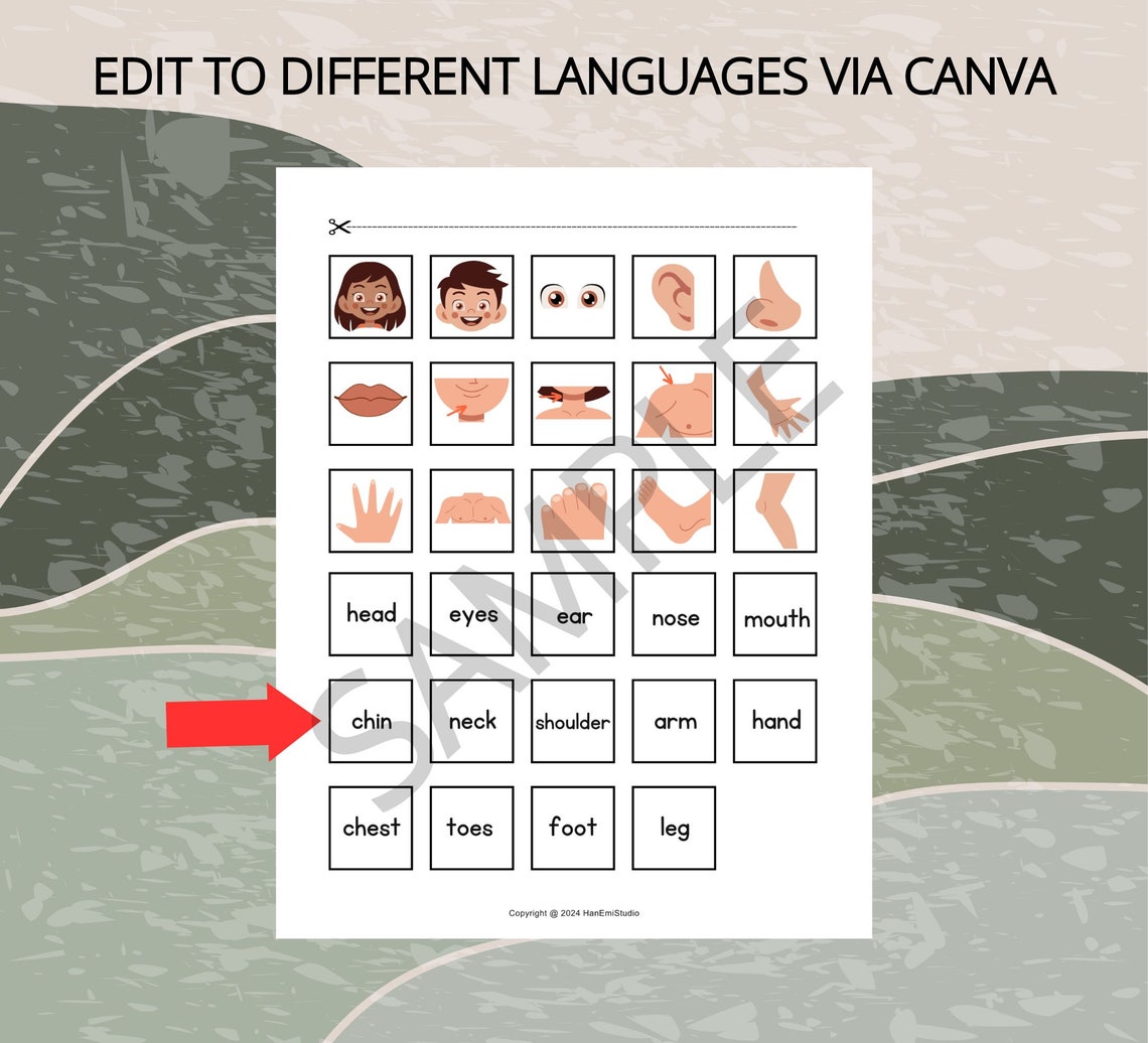 EDITABLE Body Part Matching Activity via Canva; Body Part Worksheet; I ...
