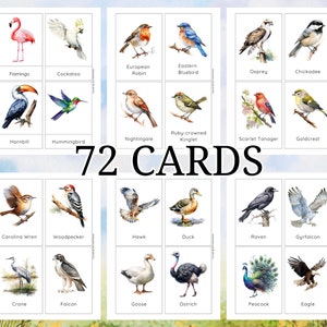 72 Birds Flashcards for Kids, Bird Breed Learning Cards; Birds Learning ...