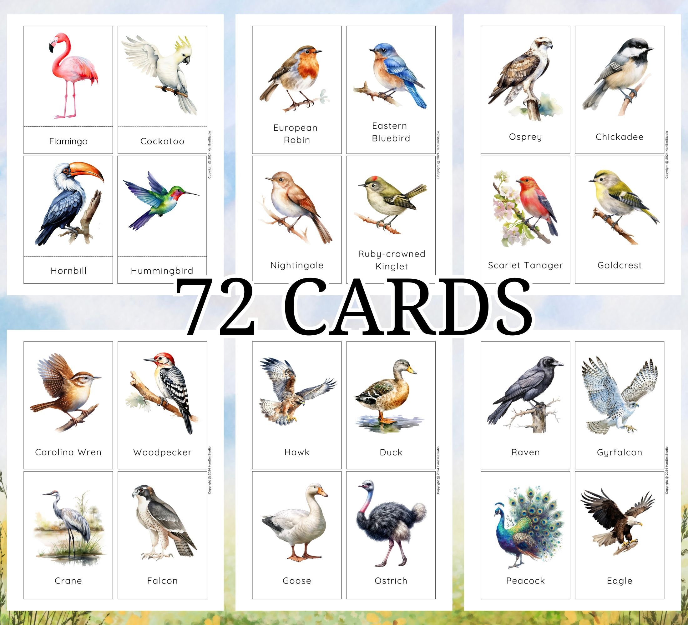 72 Birds Flashcards for Kids, Bird Breed Learning Cards; Birds Learning ...