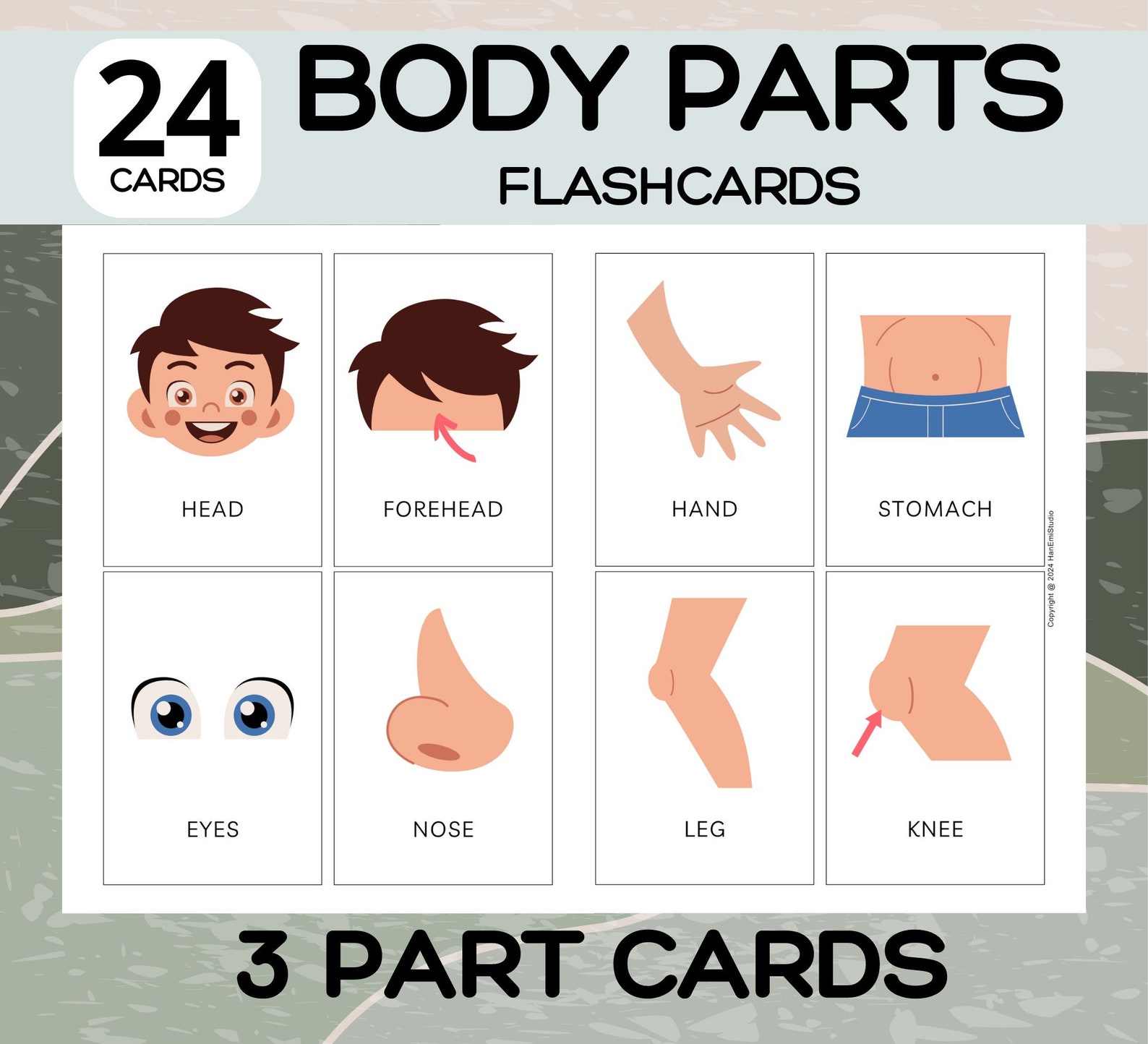 24 Body Part Flashcards; Vocabulary Flashcards for Kids; Preschool ...