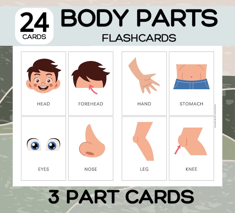 24 Body Part Flashcards; Vocabulary Flashcards for Kids; Preschool ...