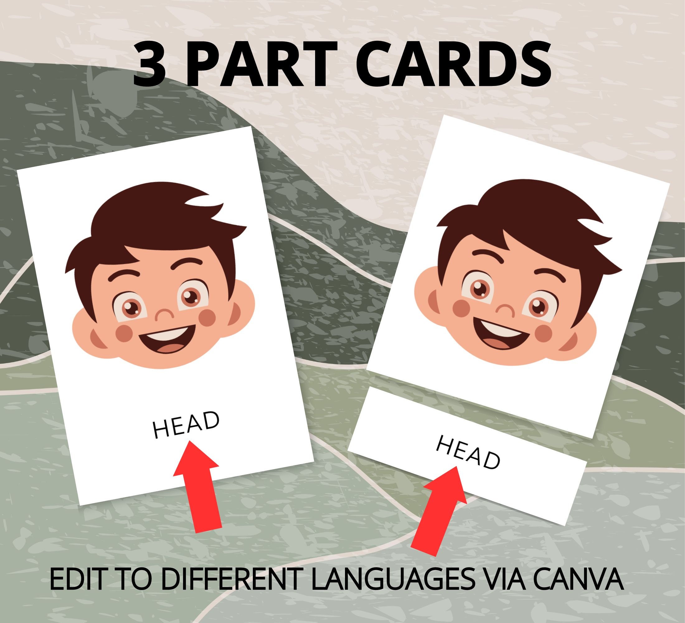 EDITABLE 24 Body Part Flashcards via Canva; Vocabulary Flashcards for ...