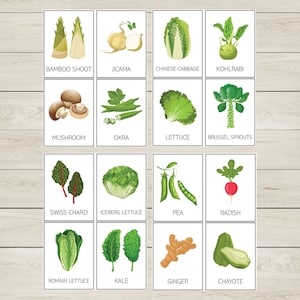 88 Fruits and Vegetables Vocabulary Flashcards; Printable Kids Flash ...