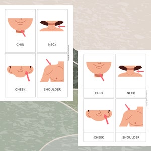 24 Body Part Flashcards; Vocabulary Flashcards for Kids; Preschool ...