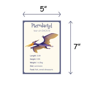 12 Dinosaur Flash Cards; Dinosaurs for Kids; Dinosaur SVG; Dinosaurs ...