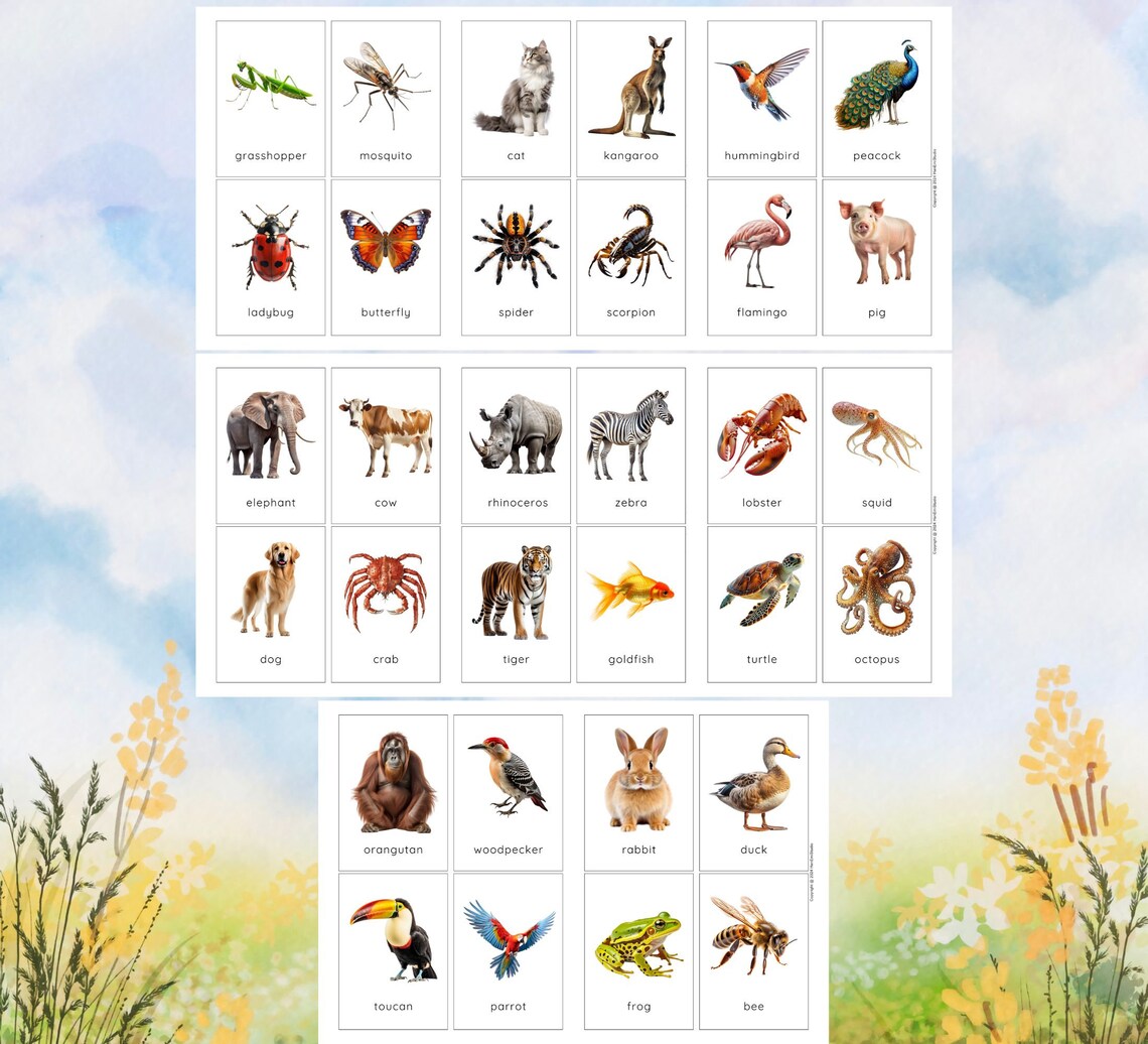 80 Realistic Animal Flashcards; Kids Learning Flash Cards; Animal ...