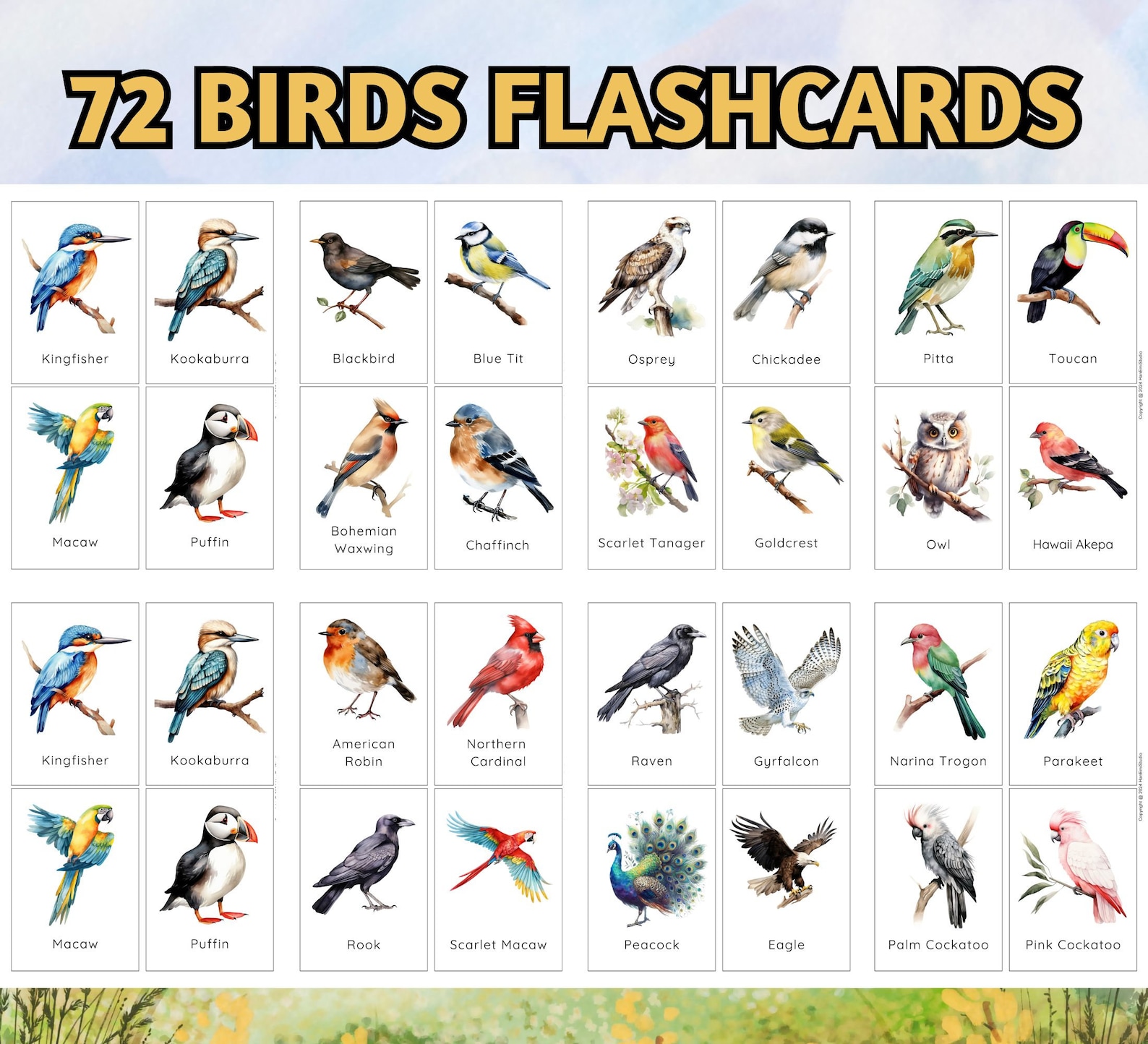 72 Birds Flashcards for Kids, Bird Breed Learning Cards; Birds Learning ...
