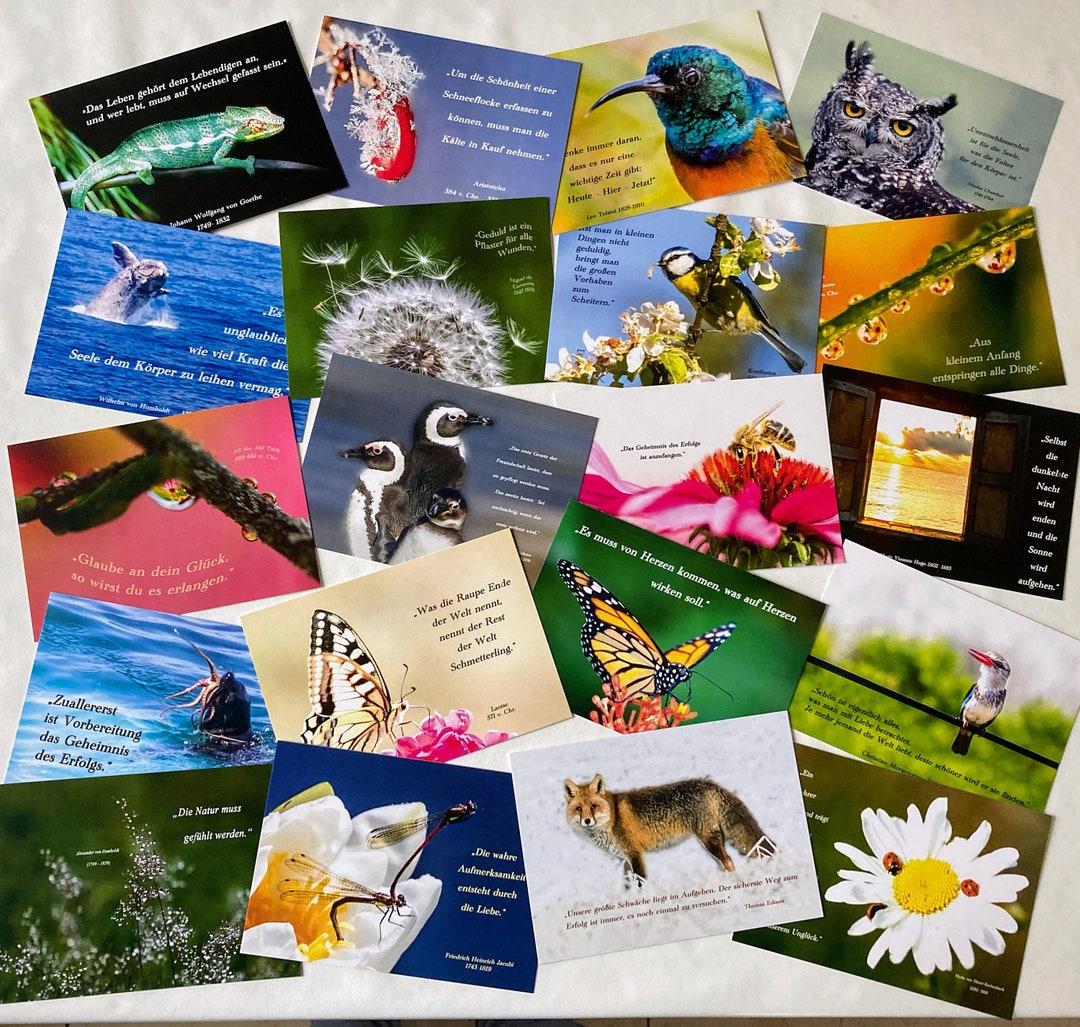Postcard Set Joy of Life Sayings Photography High Quality Nature Detail ...