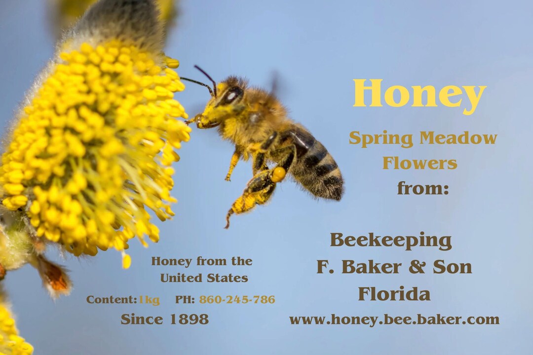 Honey Jar, Bee Buzzing, Honey Cute Reminder Stickers, Bees and Honey ...