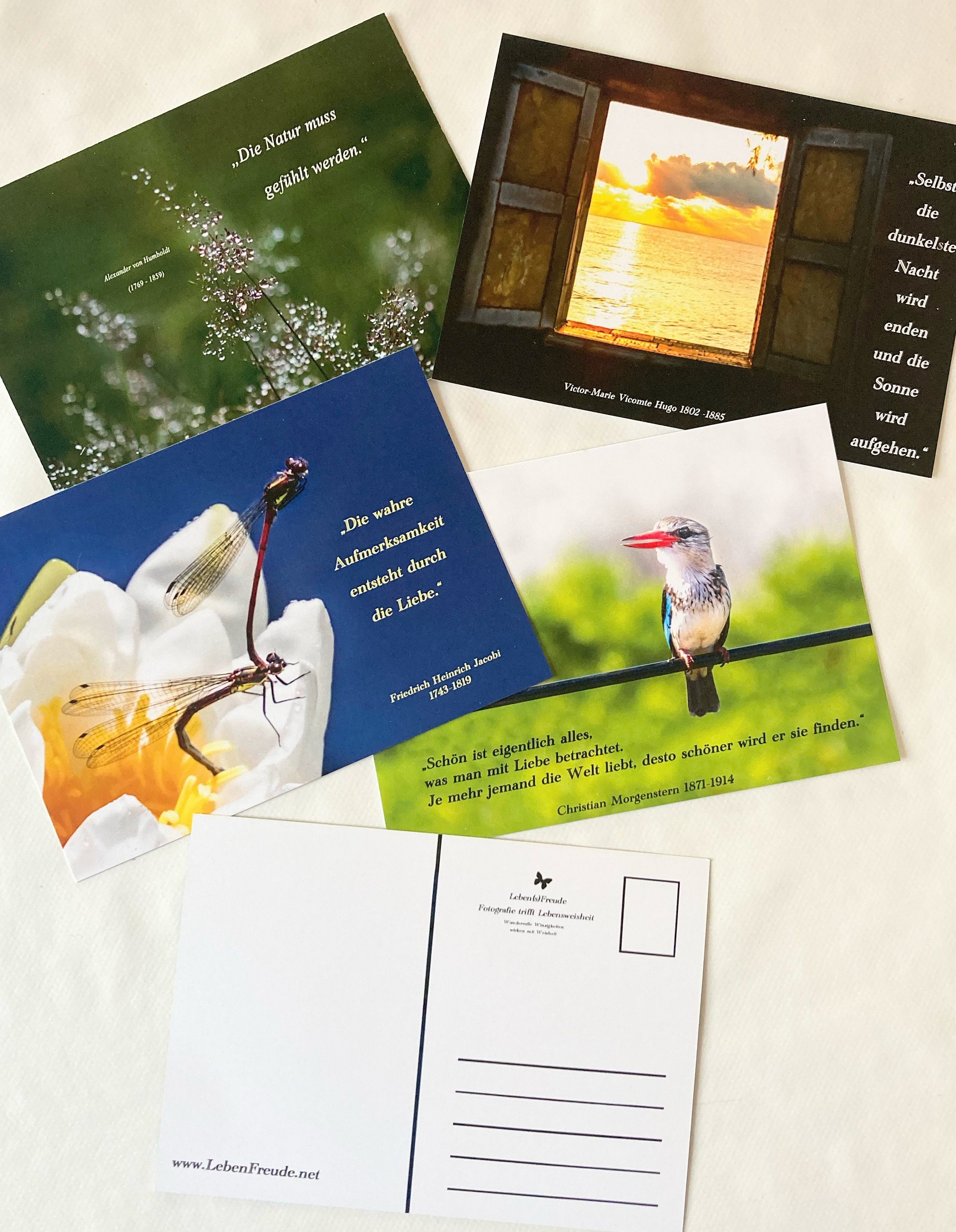 Postcard Set Joy of Life Sayings Photography High Quality Nature Detail ...