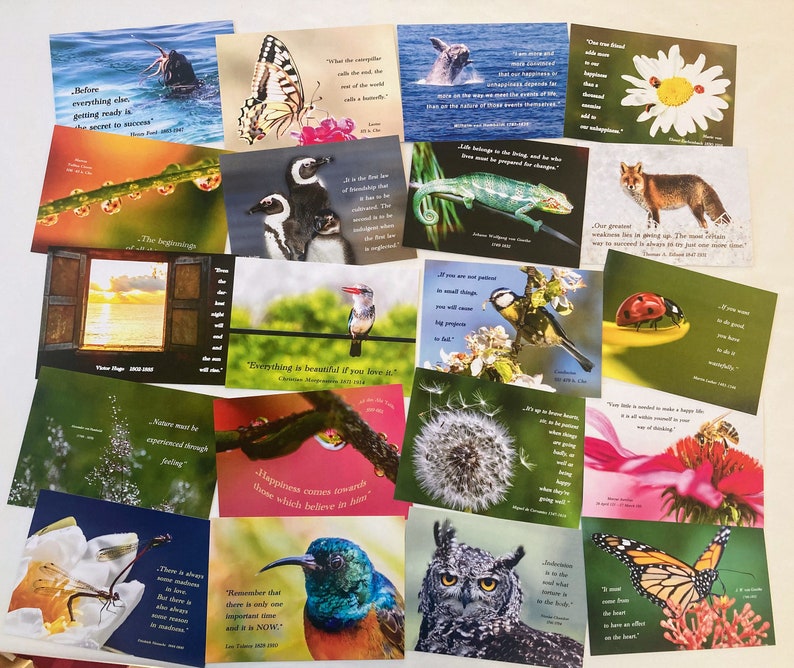 Postcard Set: Sayings Cards With Nature Motifs, Set of Cards as a ...