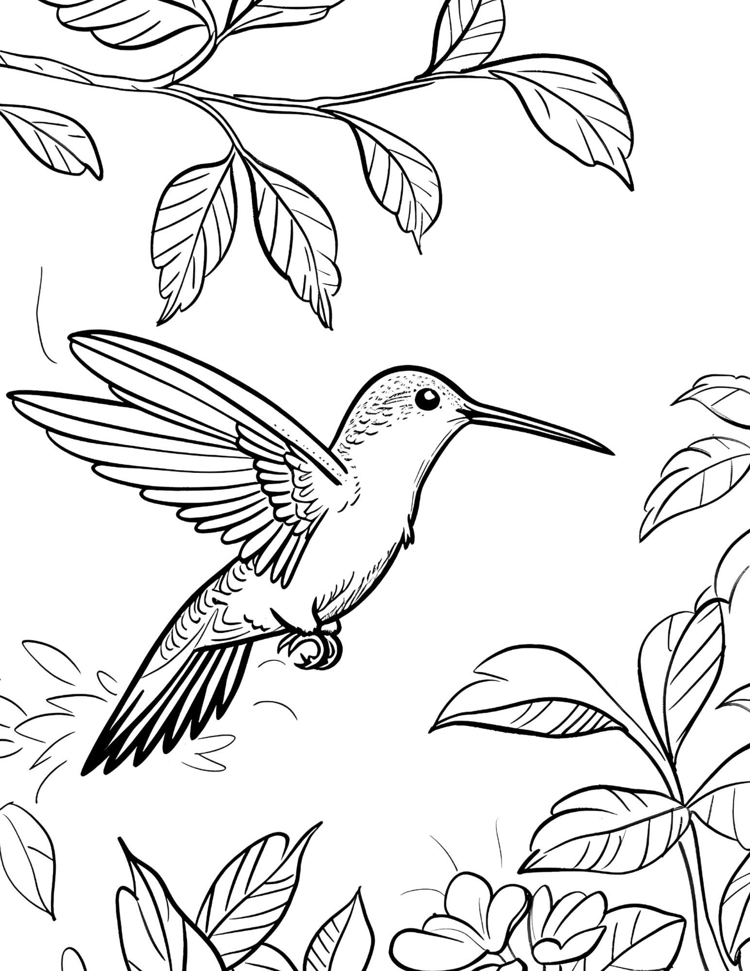 5 Cute Hummingbirds Coloring Pages Adults and Kids Coloring Book ...