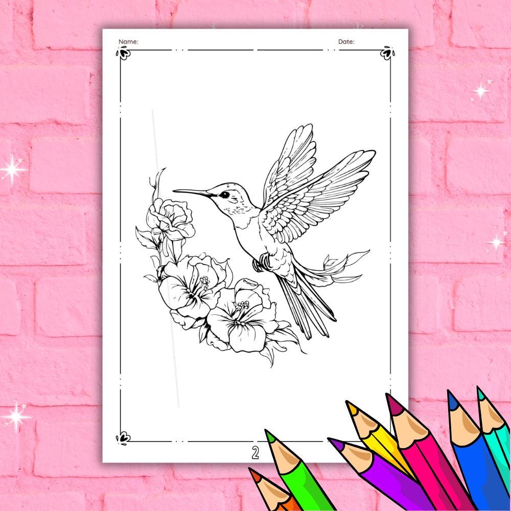 5 Cute Hummingbirds Coloring Pages - Adults and Kids Coloring Book ...