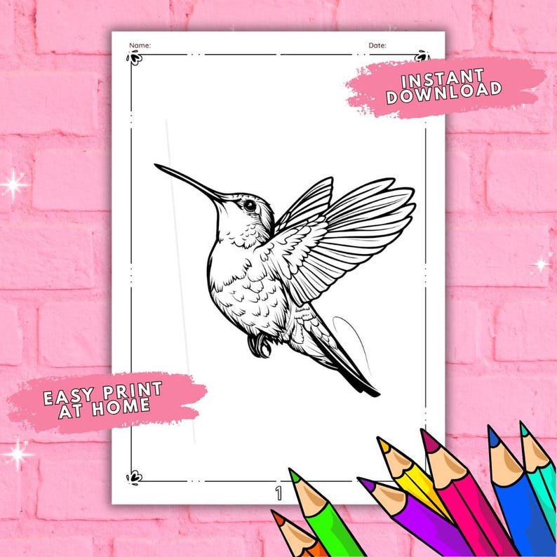 5 Cute Hummingbirds Coloring Pages - Adults and Kids Coloring Book ...