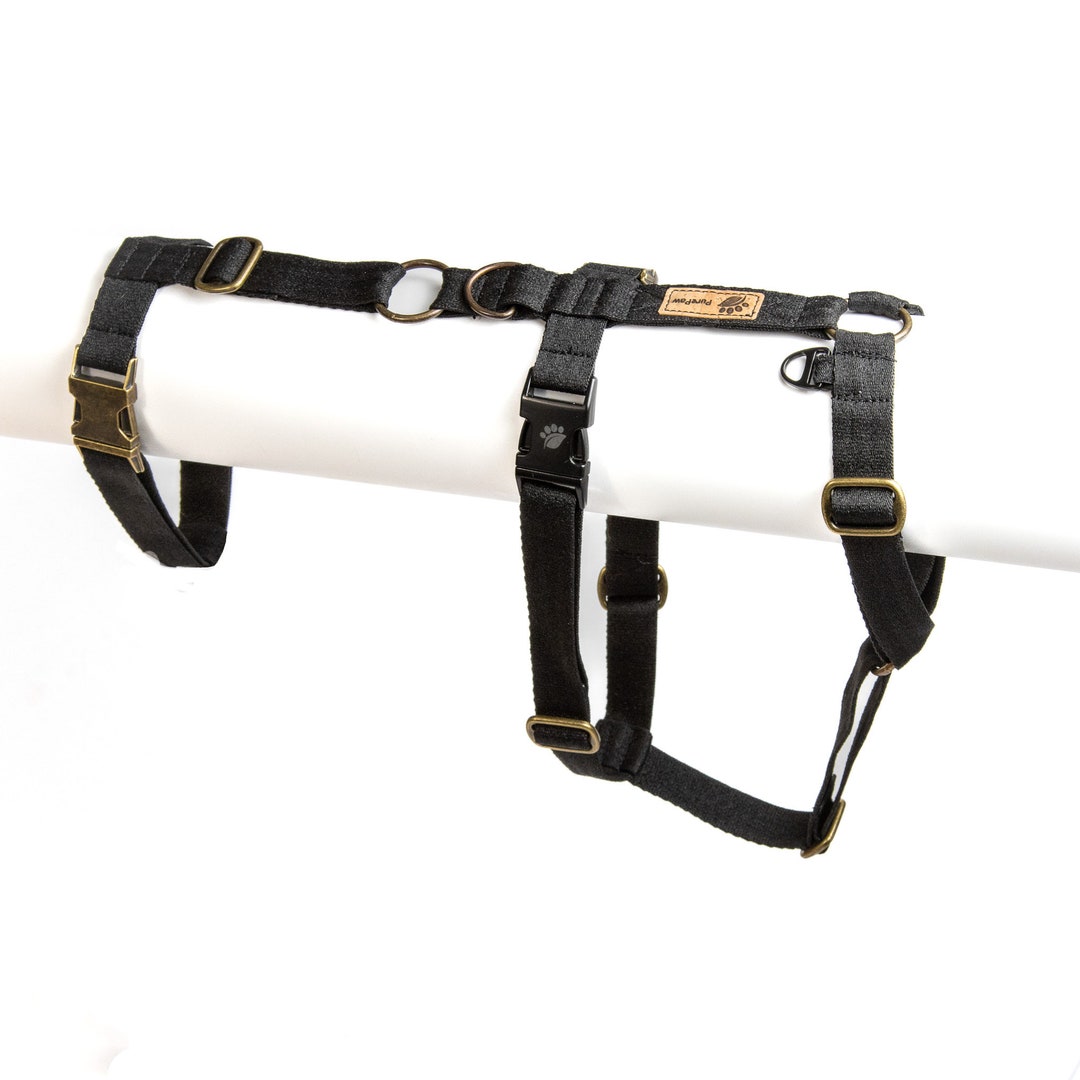 Eco-friendly 3 Point Anti-escape Harness for Sighthounds Greyhounds ...