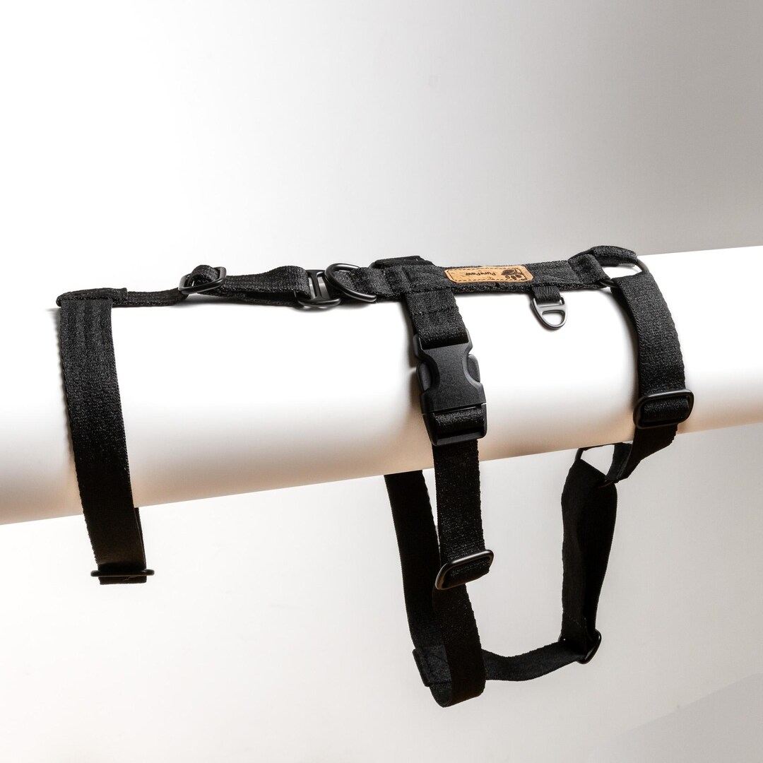 Eco-friendly 3 Point Anti-escape Harness for Sighthounds - Best For ...