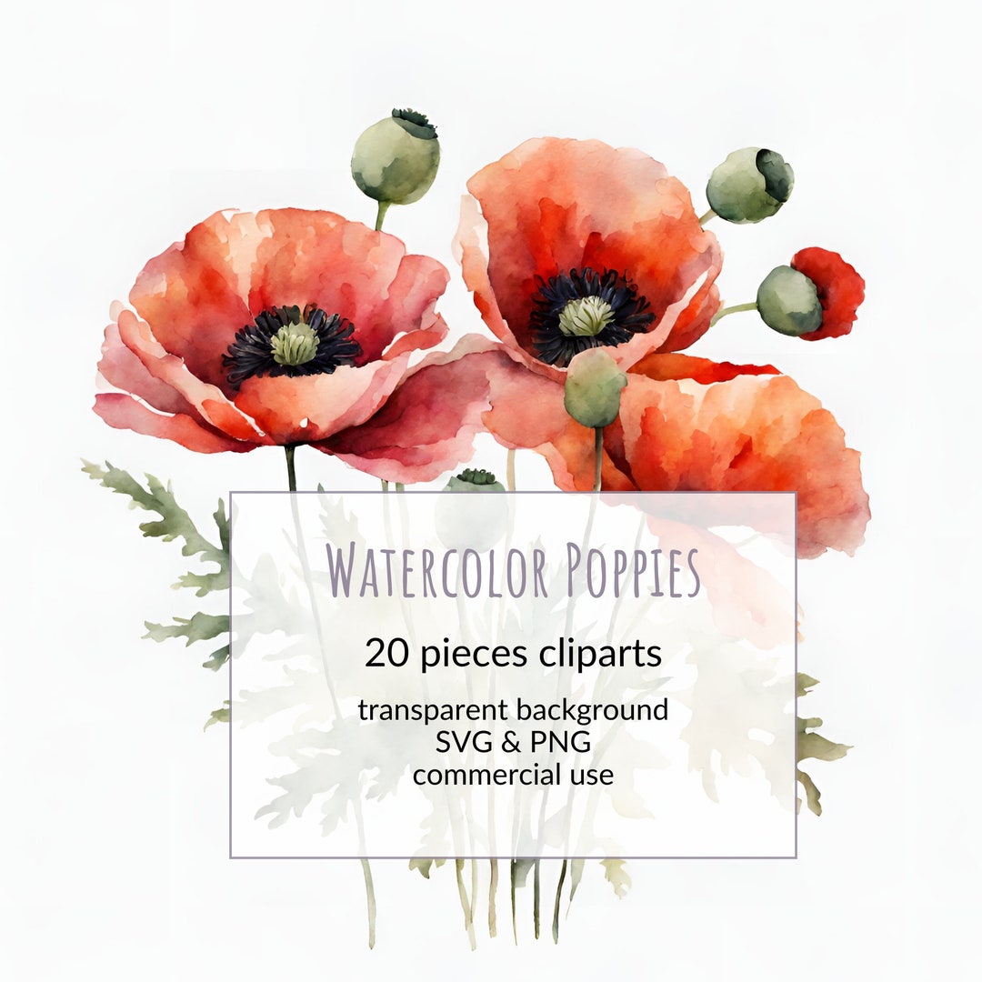Watercolor Poppy Flowers Clipart Elements Bundle Romantic Spring ...