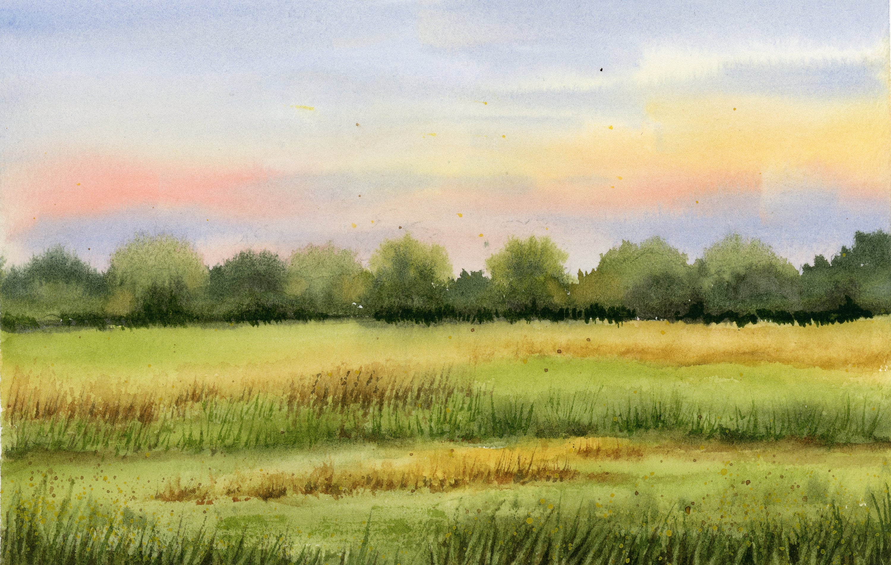 Meadow at Sunset Landscape Watercolor Giclee Print by Debbie Young - Etsy