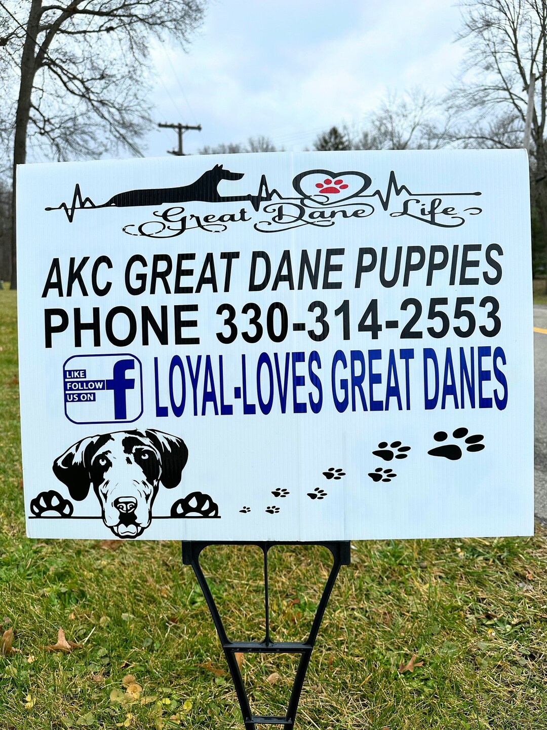 Decals: Ultimate Solutions Sticker Needs With Our Versatile Product ...