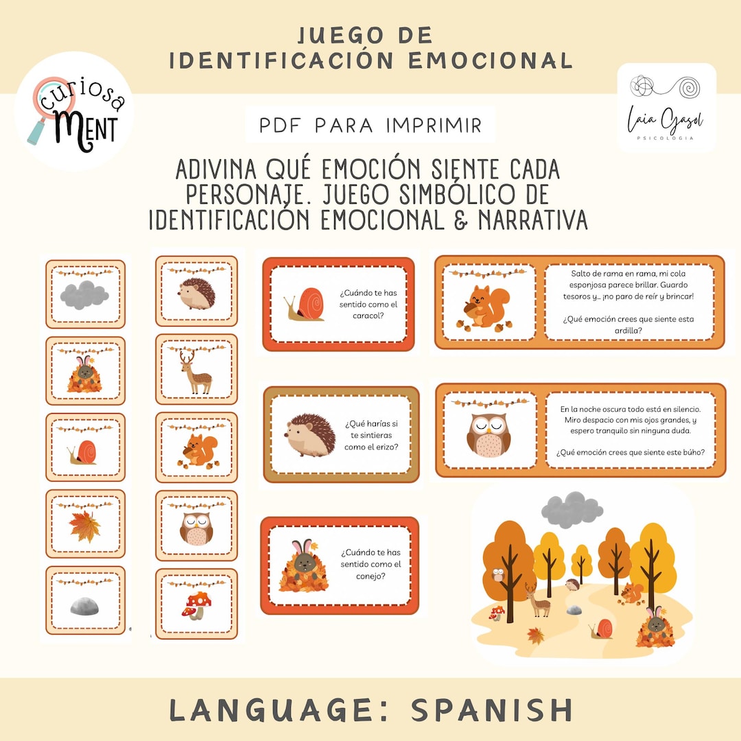 Basic Emotions Identification Game - Etsy