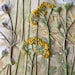 Handmade Gypsum Botanical Bas-relief With Real Wildflowers | Eco ...