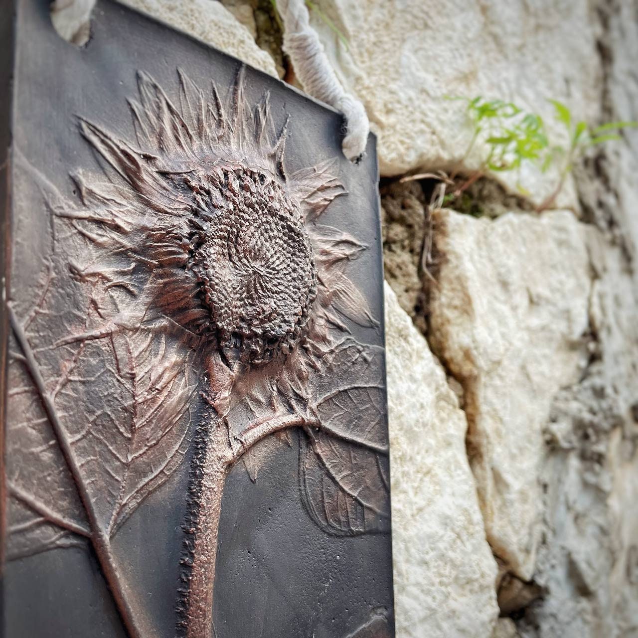 Sunflower Bas-relief Hand-painted Botanical Relief With Sunflower ...