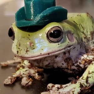 Hats for Pet Frogs (3d-printed) - Etsy