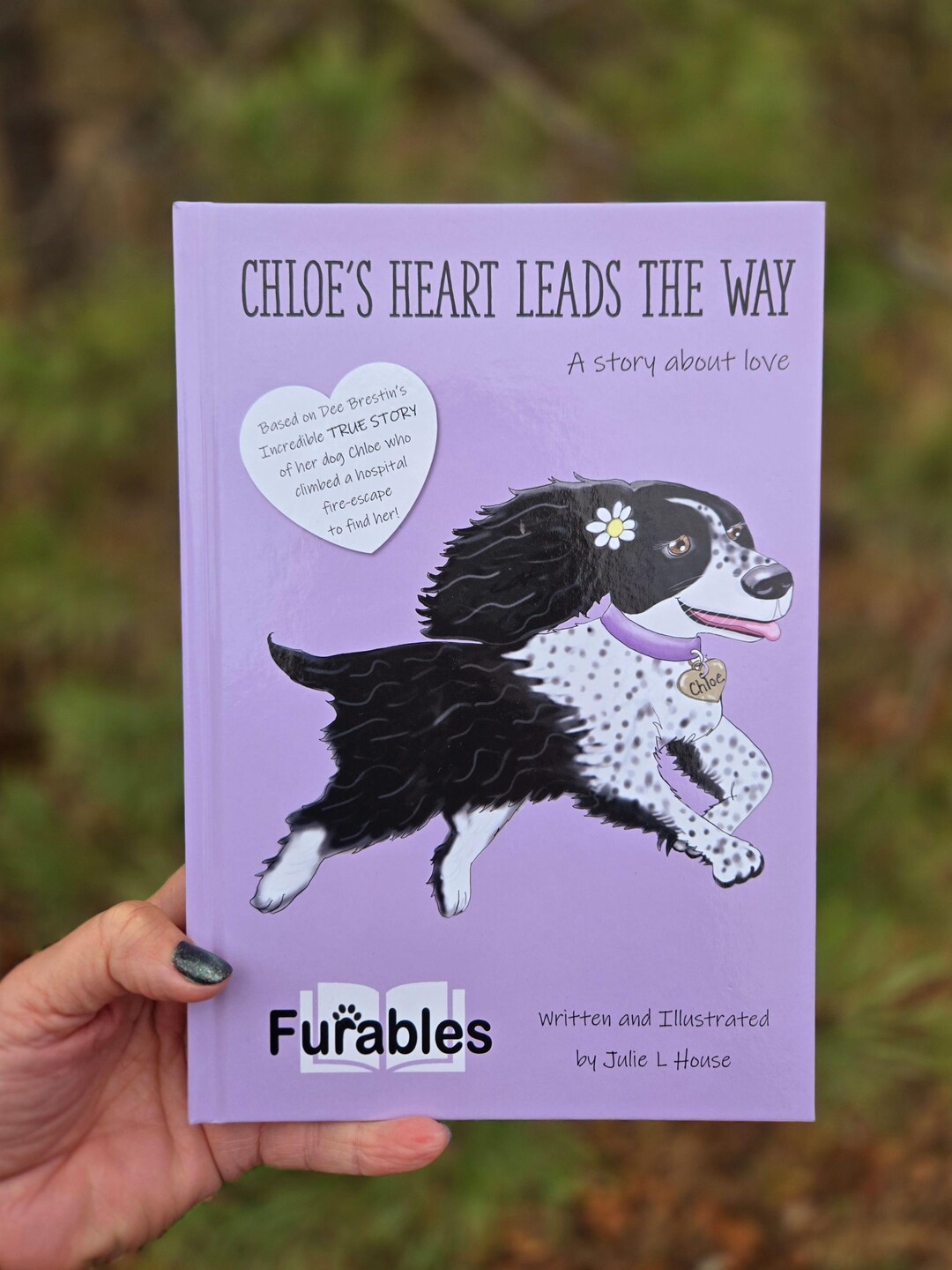 Chloe's Heart Leads the Way, Springer Spaniel Finds Girl in Hospital ...