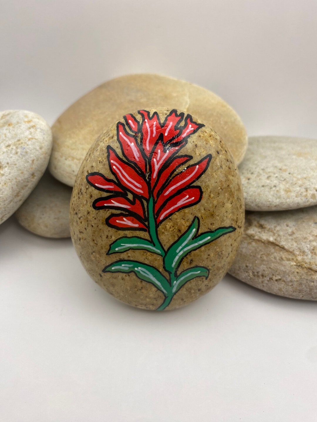 Indian Paintbrush Painted Rock, Hand Painted Rock, Flower Rock - Etsy