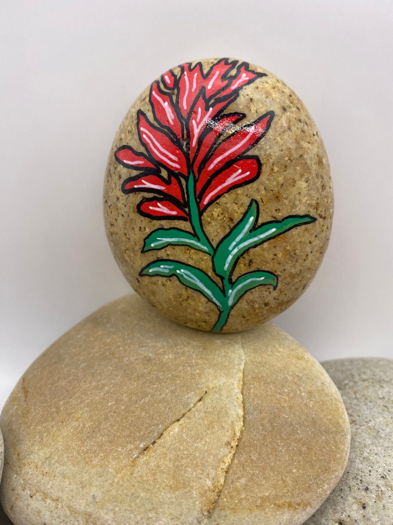 Indian Paintbrush Painted Rock, Hand Painted Rock, Flower Rock - Etsy